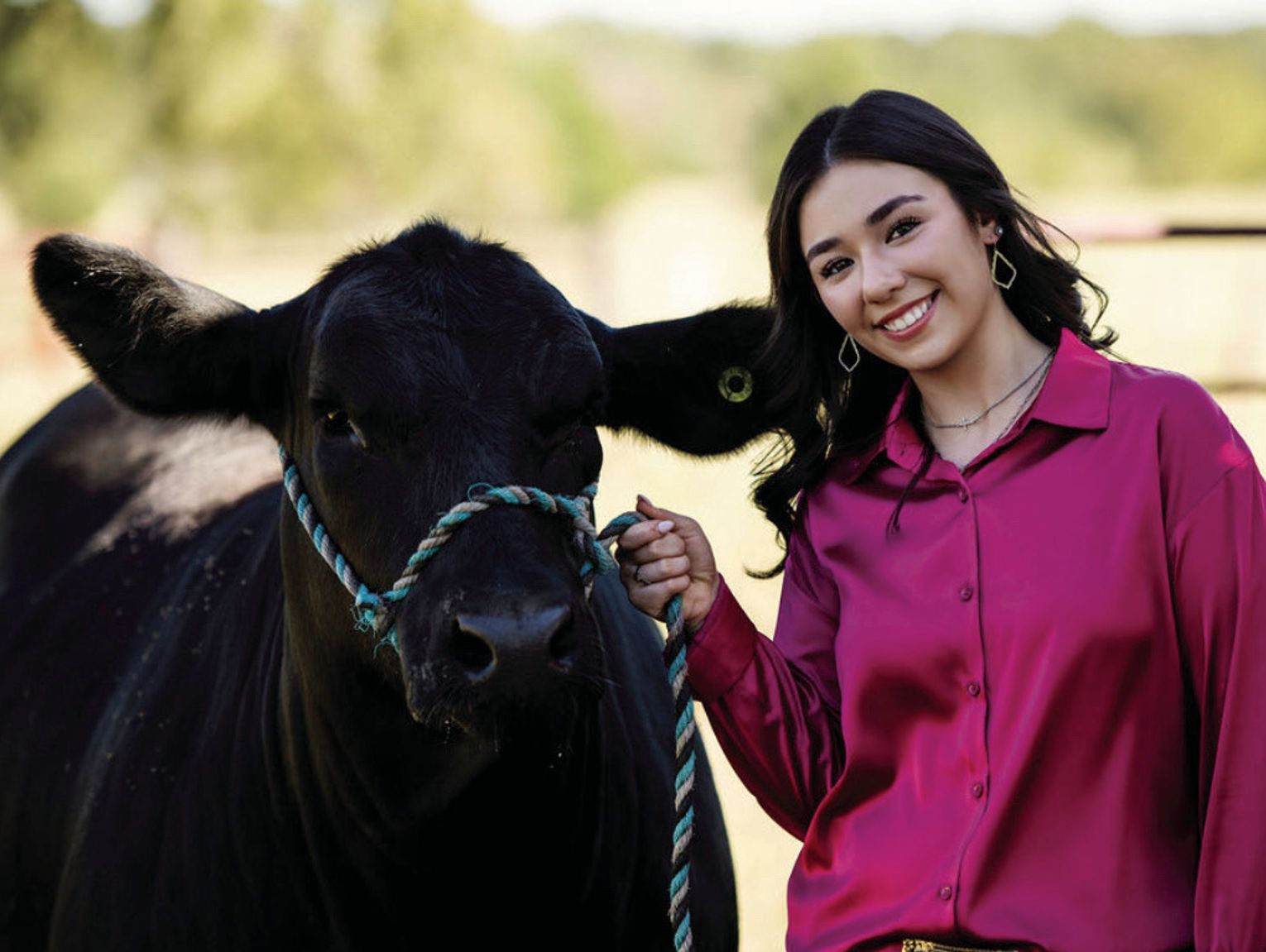 Pillans ready to show at the County Fair